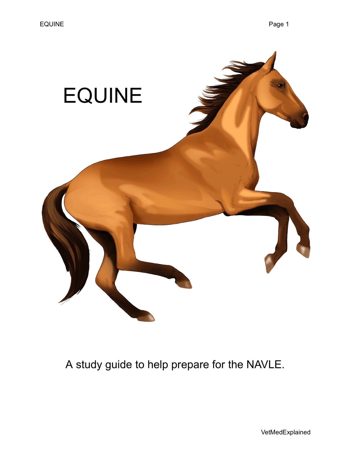 Equine Vet Med Study Guide for the NAVLE - Etsy