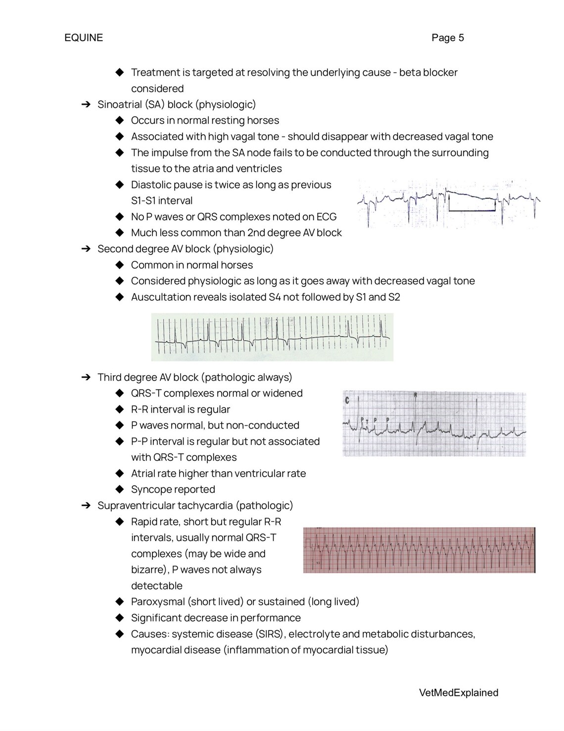 Equine Vet Med Study Guide for the NAVLE - Etsy
