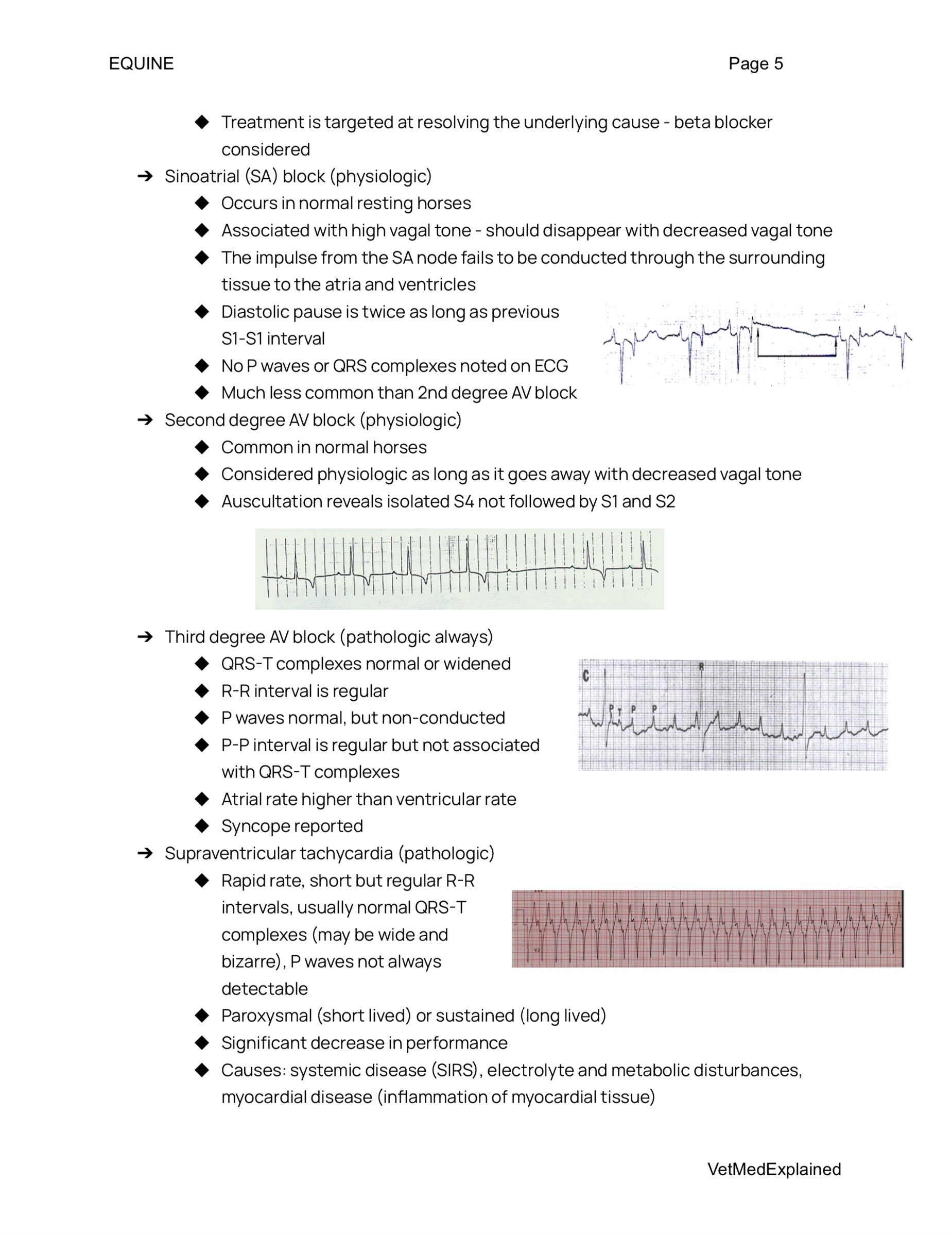 Equine Vet Med Study Guide for the NAVLE - Etsy