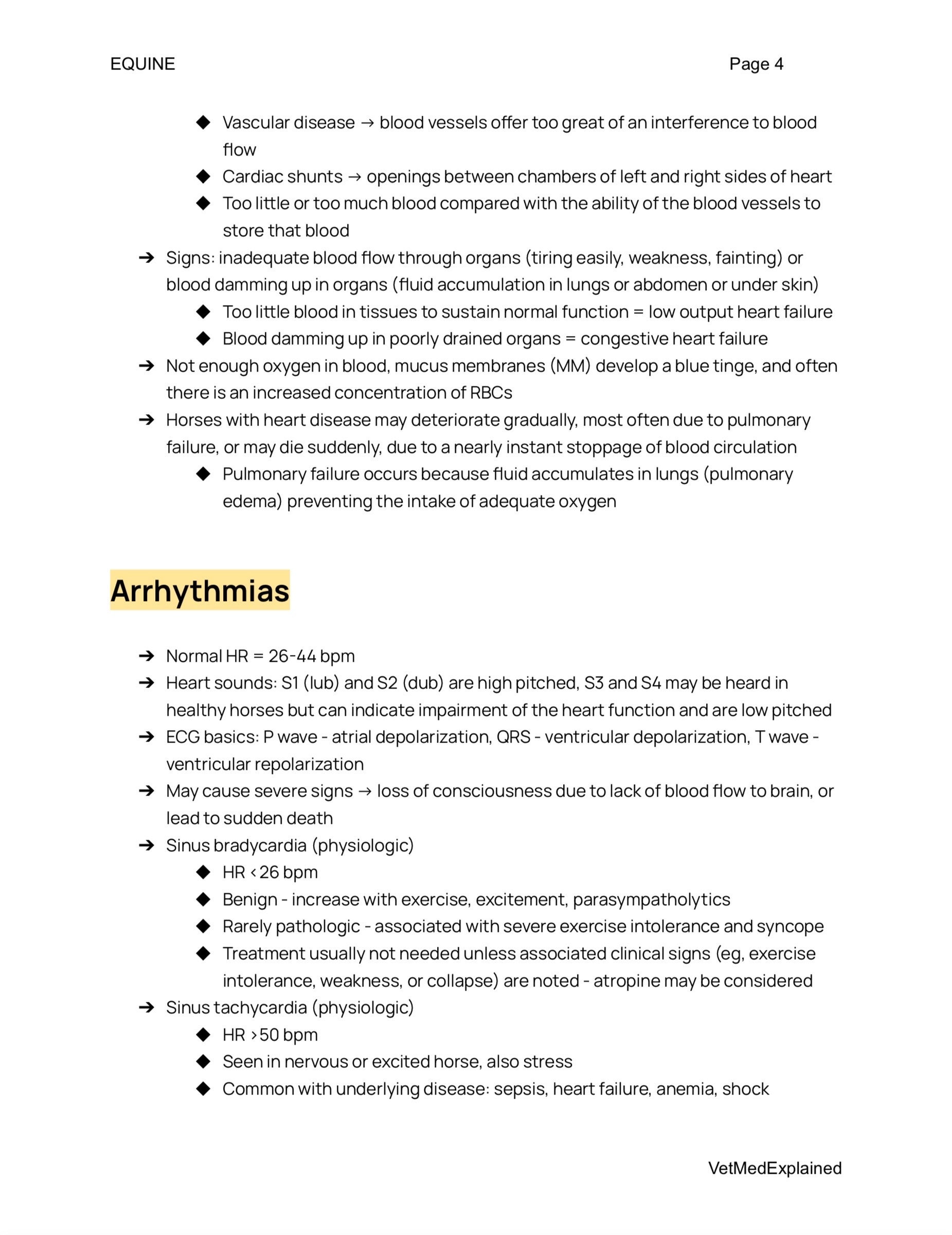 Equine Vet Med Study Guide for the NAVLE - Etsy