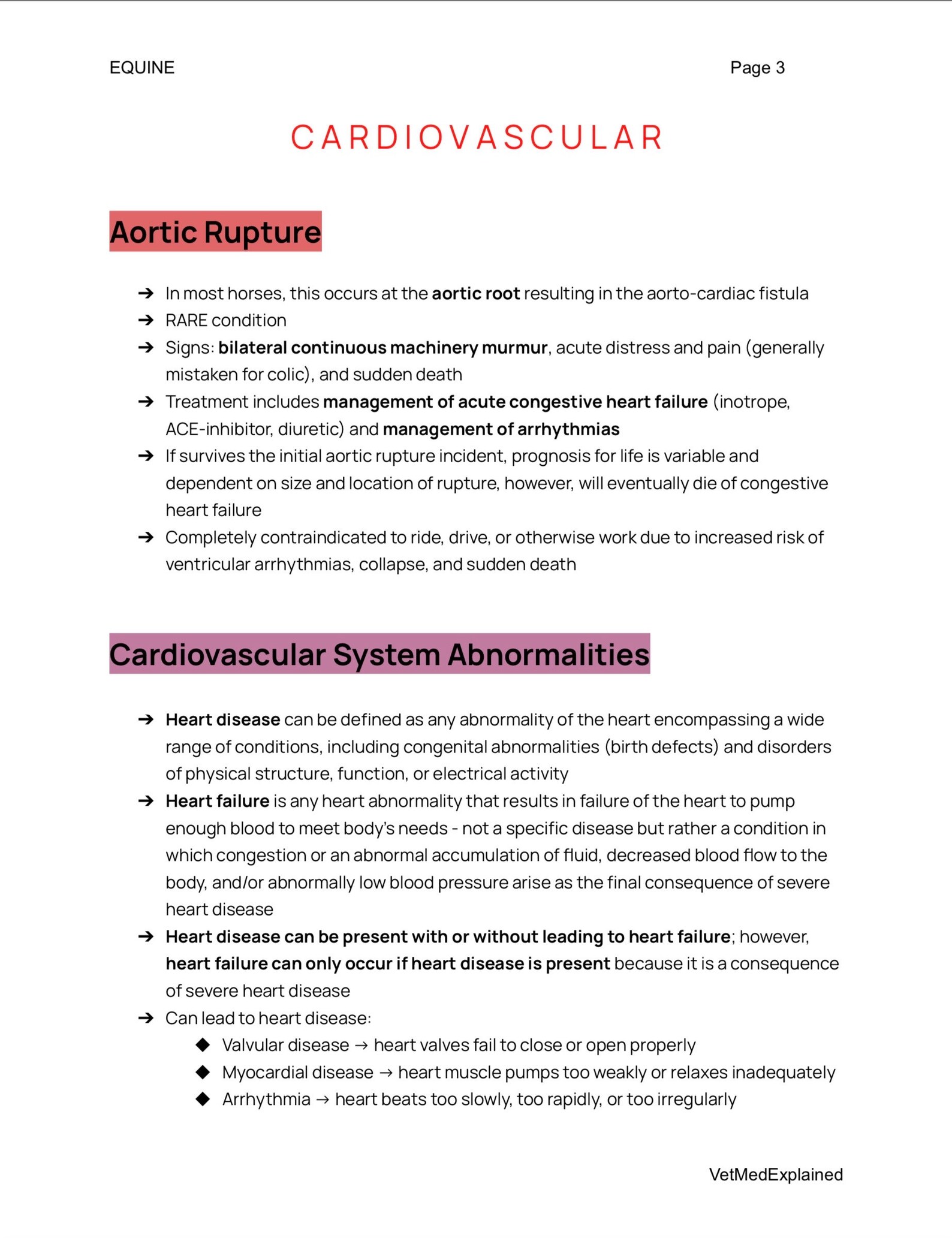Equine Vet Med Study Guide for the NAVLE - Etsy
