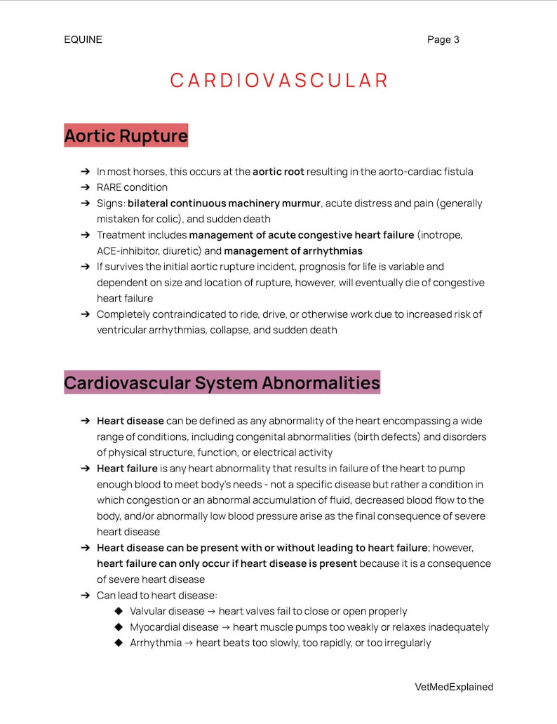 Equine Vet Med Study Guide for the NAVLE - Etsy