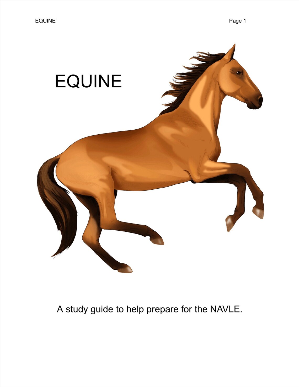 Equine Vet Med Study Guide for the NAVLE - Etsy