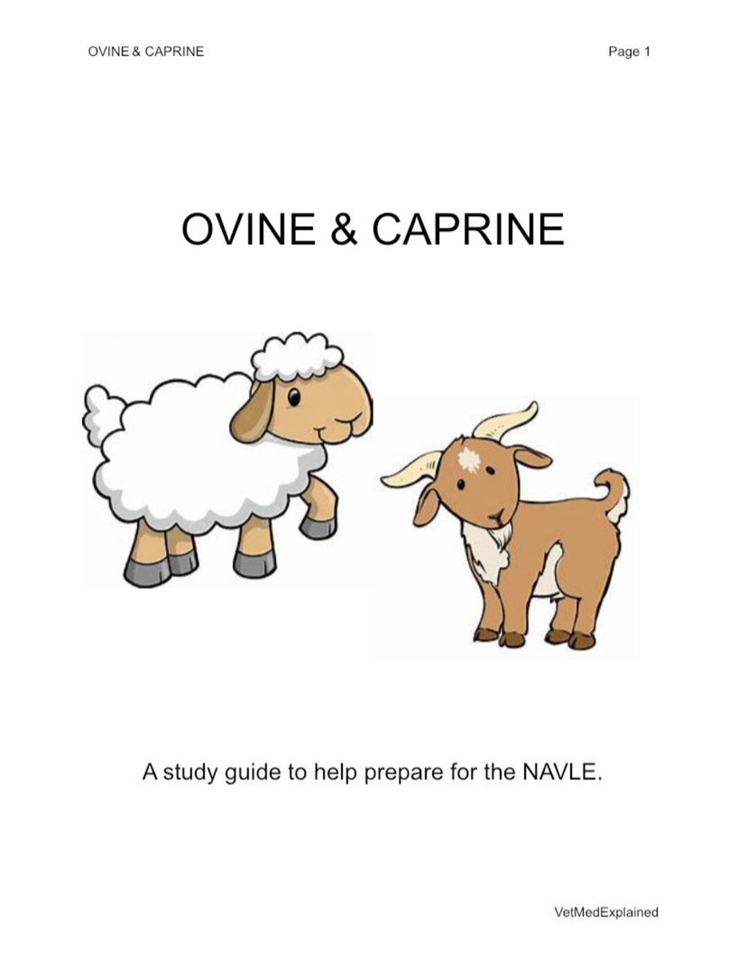 Ovine & Caprine Vet Med Study Guide for the NAVLE - Etsy