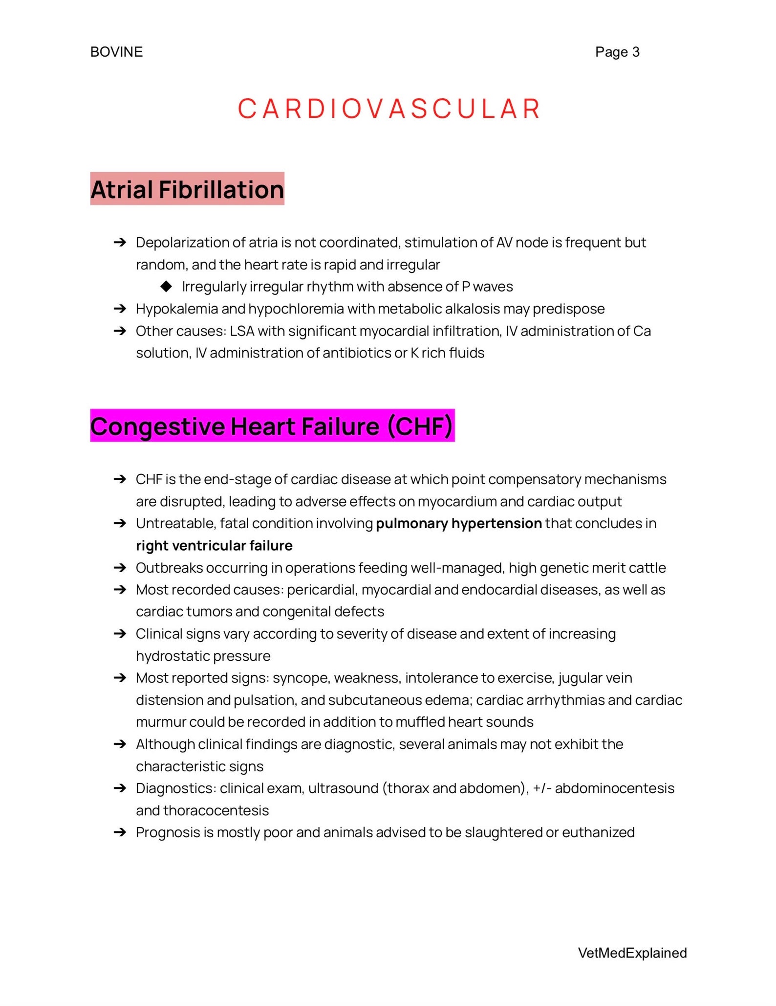 Bovine Vet Med Study Guide for the NAVLE - Etsy