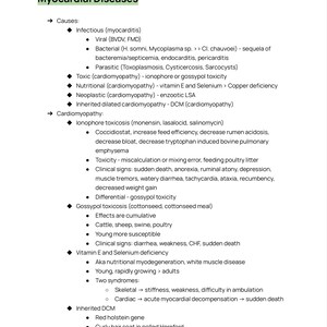 Bovine Vet Med Study Guide for the NAVLE - Etsy