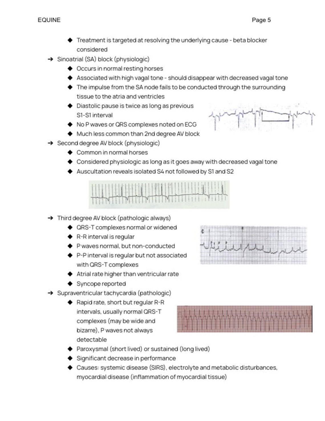 Equine Vet Med Study Guide for the NAVLE - Etsy