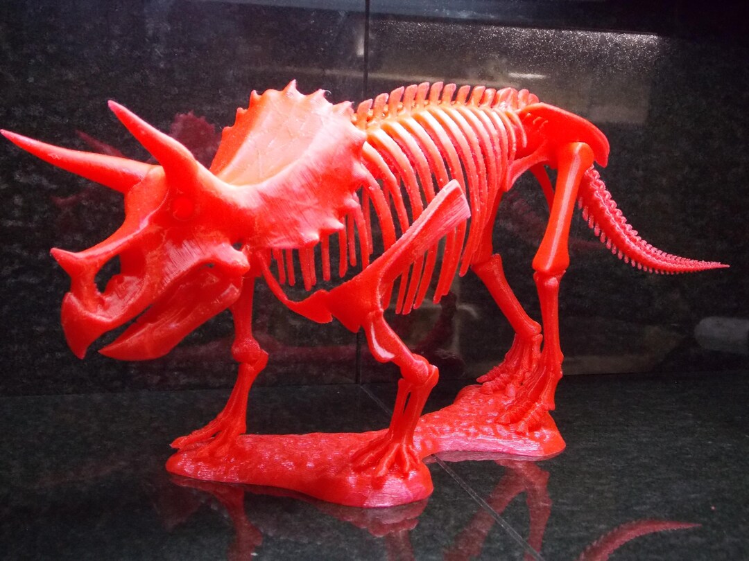 Triceratops Skeleton 3d Printed Unique Educational Display Model 13 ...