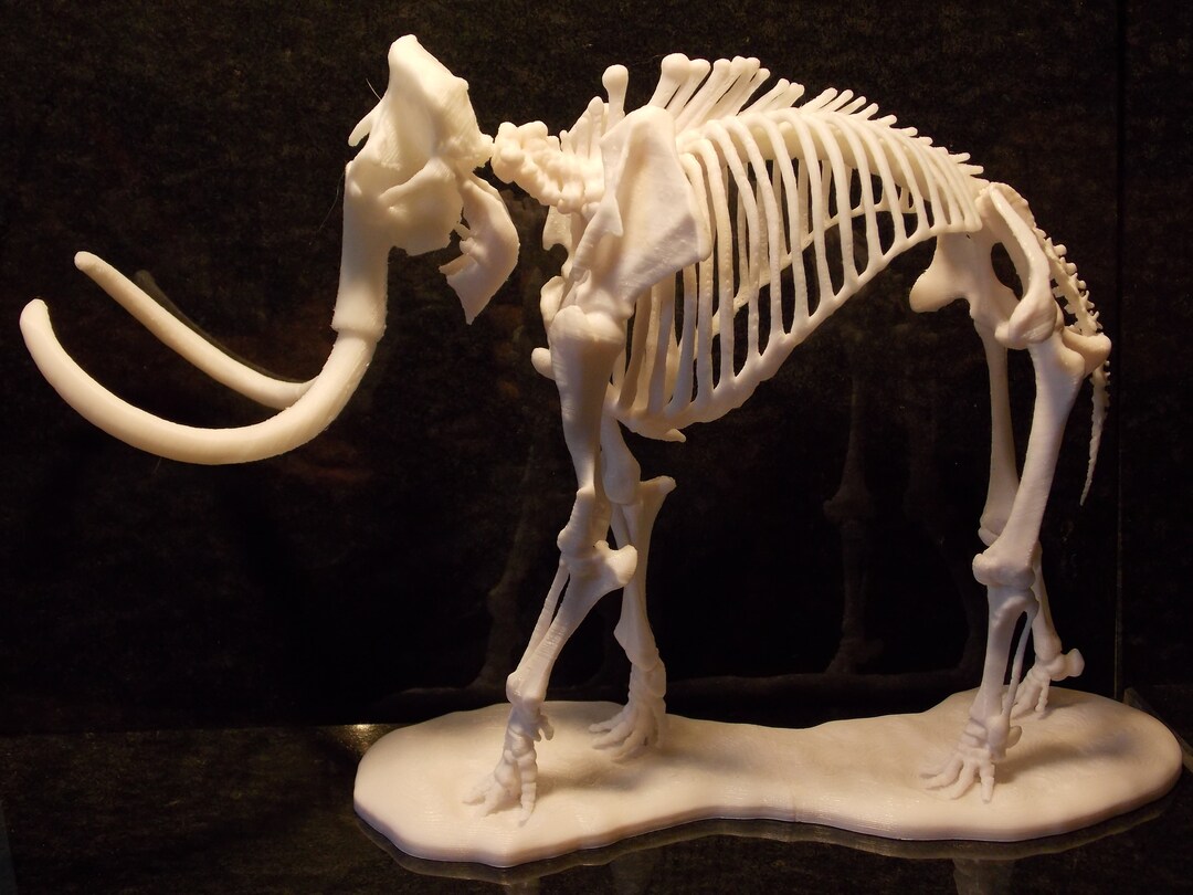 Woolly Mammoth Skeleton 3D Printed - Etsy