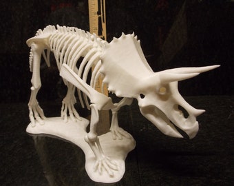 Tyrannosaurus Rex Skeleton 3D Printed Hand Painted 13 Inches Long - Etsy