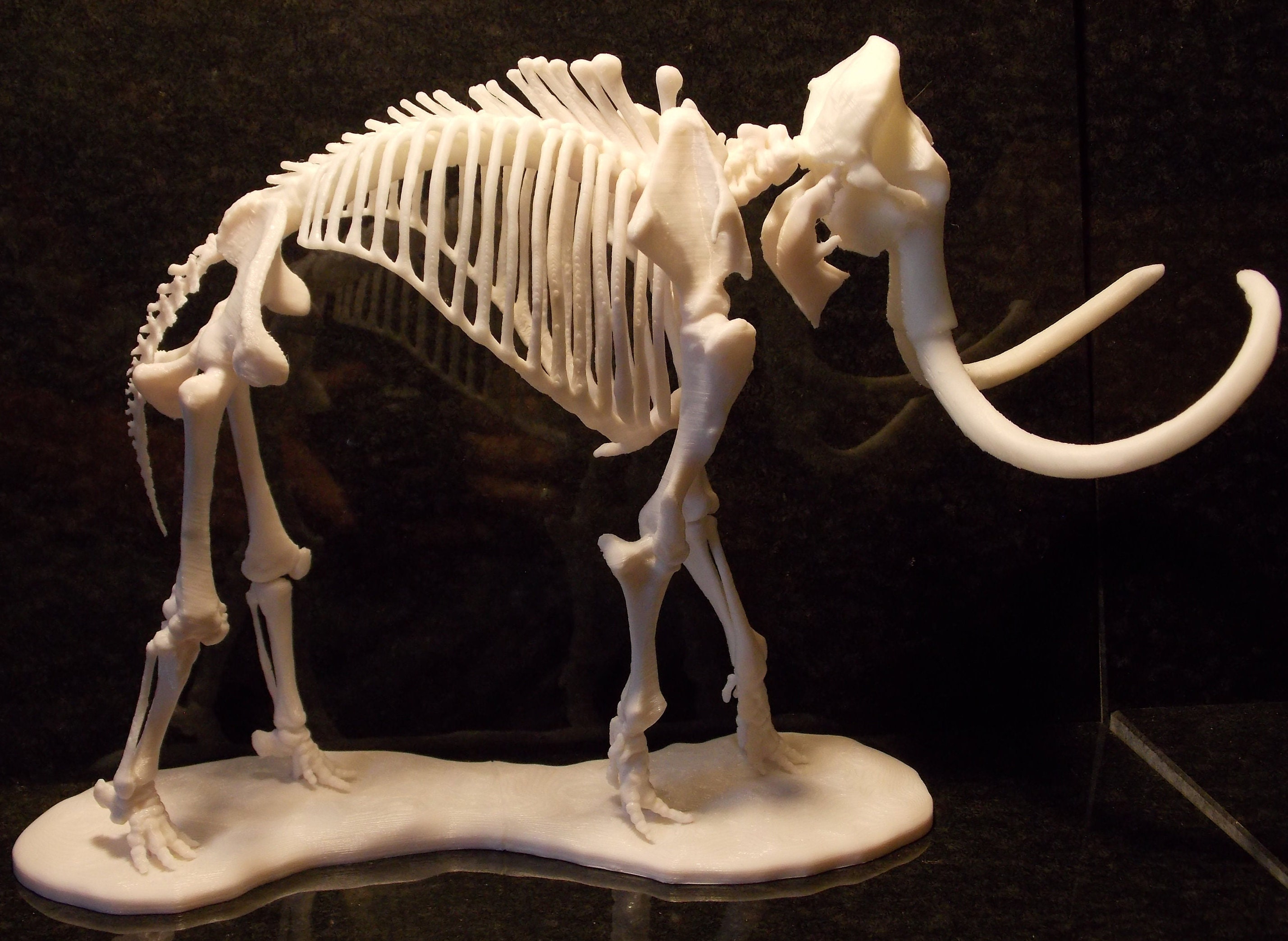 Woolly Mammoth Skeleton 3D Printed PLA Statue Fossil 10 Inches - Etsy