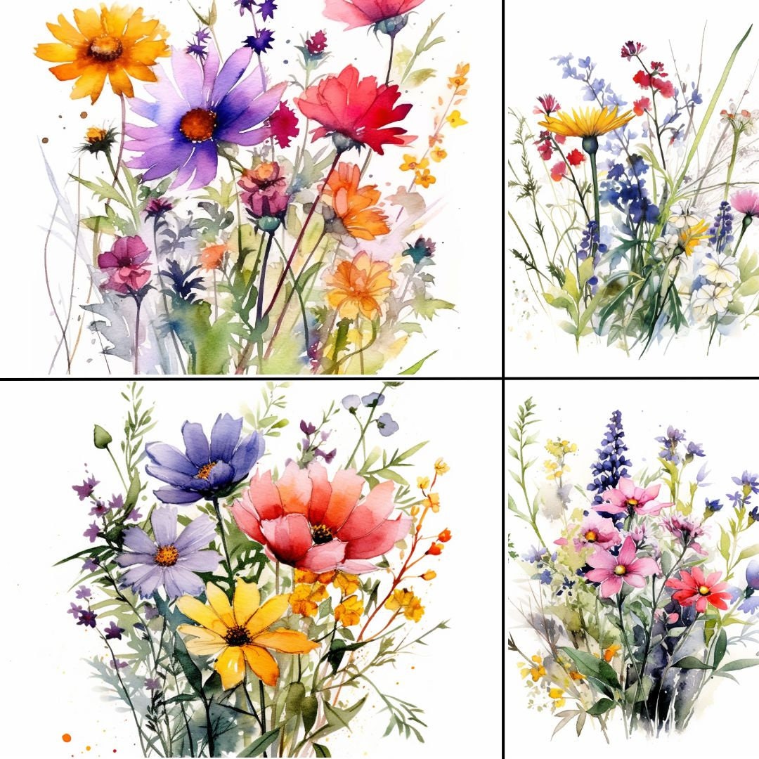 Wild Flower Clipart for Spring Clipart for Summer Floral Clipart - Etsy