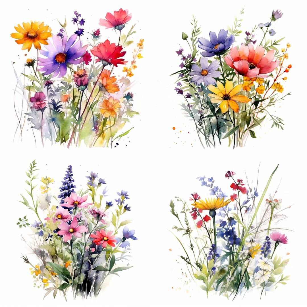 Wild Flower Clipart for Spring Clipart for Summer Floral Clipart - Etsy