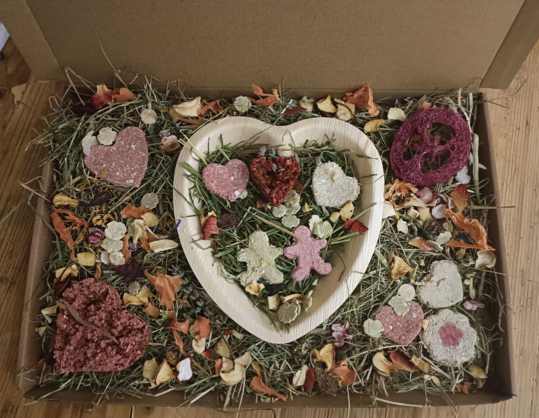 Valentine Bunny Forage Box - Etsy