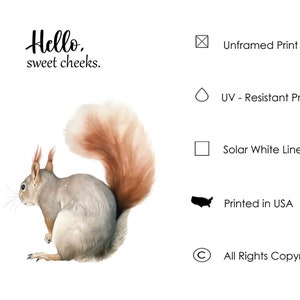Squirrel hello, Sweet Cheeks Bathroom Art Print Poster, Squirrel Wall ...
