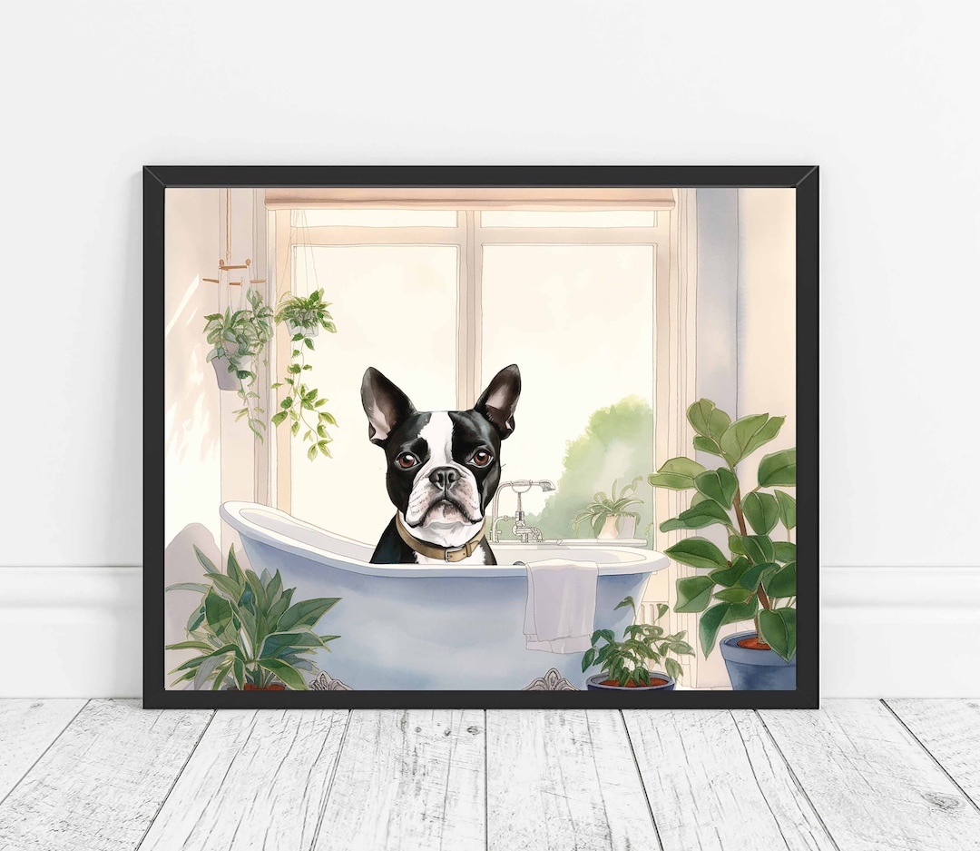 Boston Terrier Decor Bathroom Botanical Art Print Poster, Boston ...