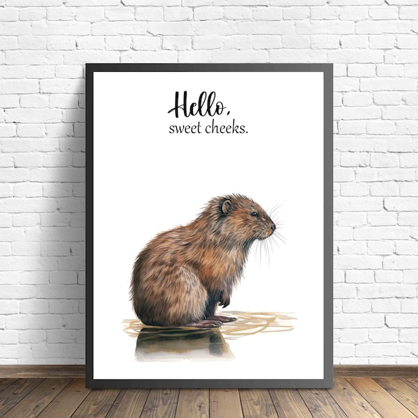 Muskrat Wall Art - Etsy