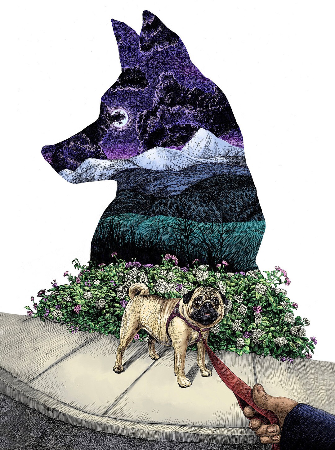Pug's Evolution 5x7 Glossy Art Print - Etsy