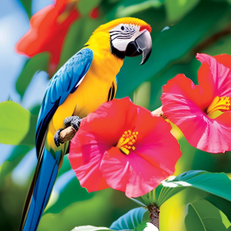 Vibrant Beauty in Flight: Macaw Parrot With Vivid Pink Hibiscus ...