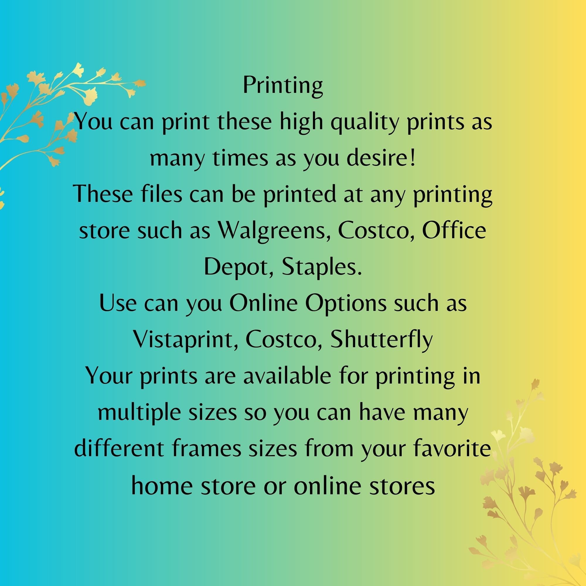 Vibrant Beauty in Flight: Macaw Parrot With Vivid Pink Hibiscus ...