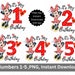 Minnie Birthday Numbers 1-5 PNG, Iron on Numbers, Polka Dot Numbers ...