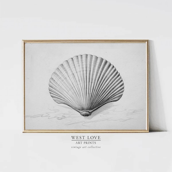 Vintage Seashell Art - Etsy