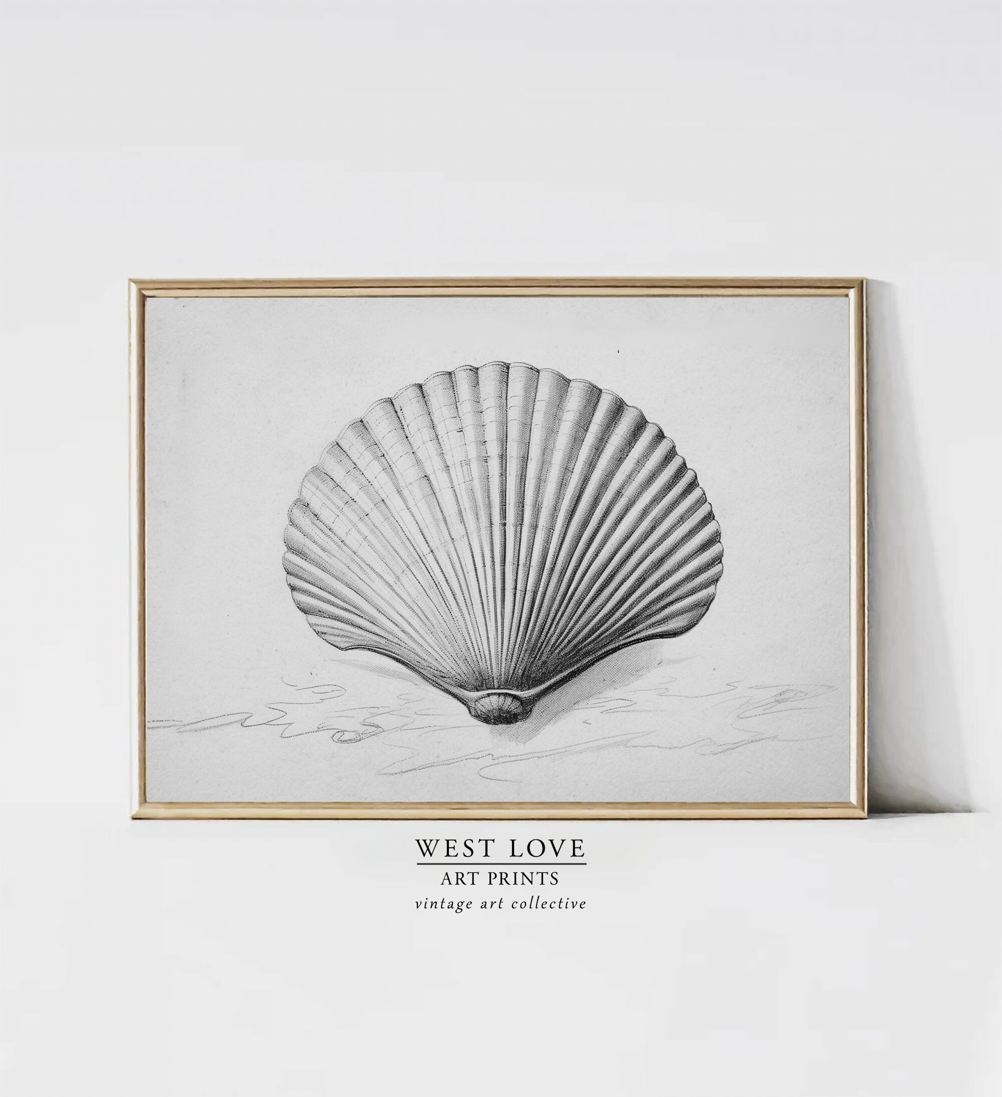 Vintage Seashell Sketch | Minimalist Soft Coastal Landscape | Digital ...