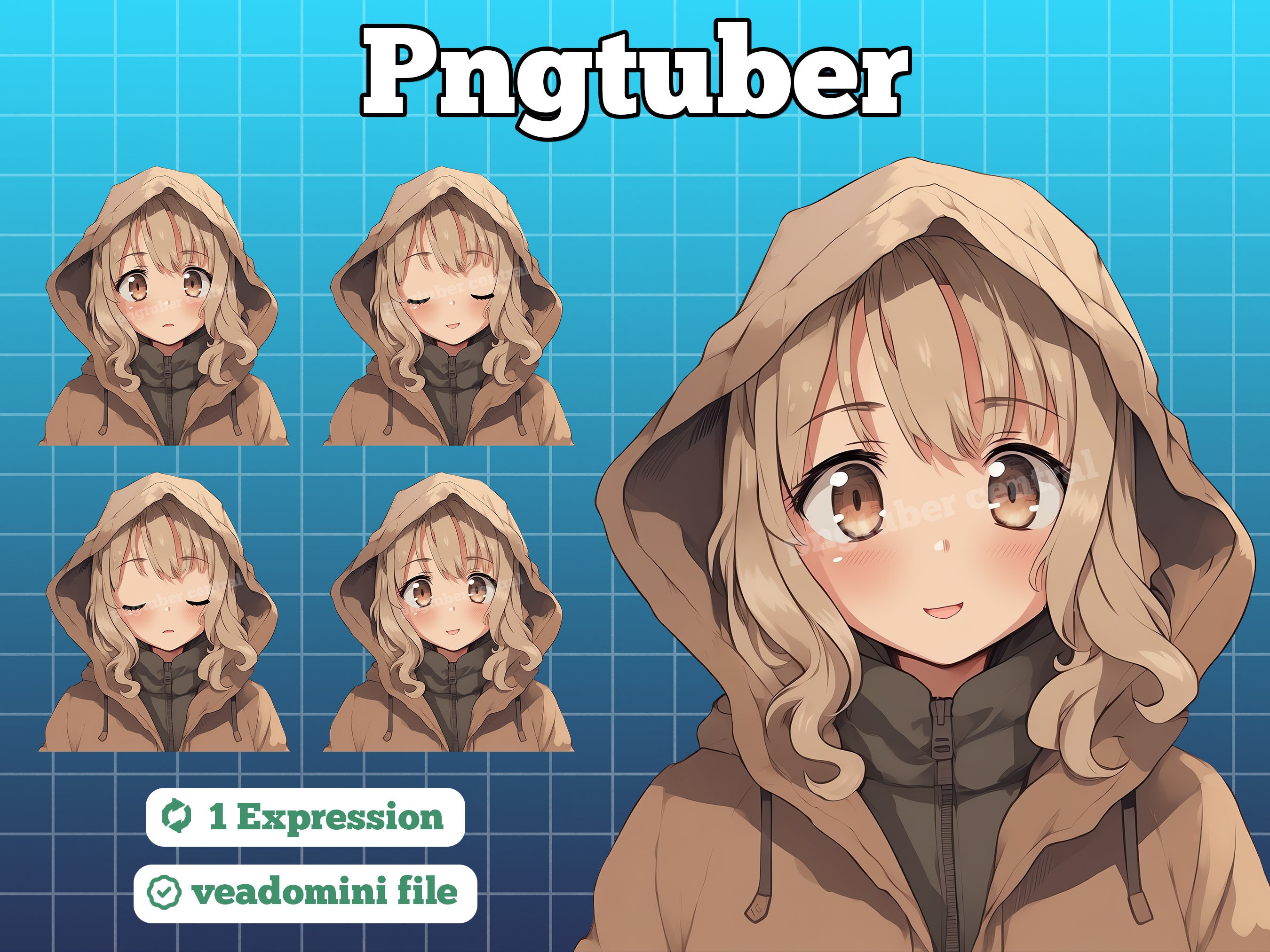 Pngtuber, Pngtuber Premade, Png Tuber, Pngtuber Overlay, Pngtuber ...