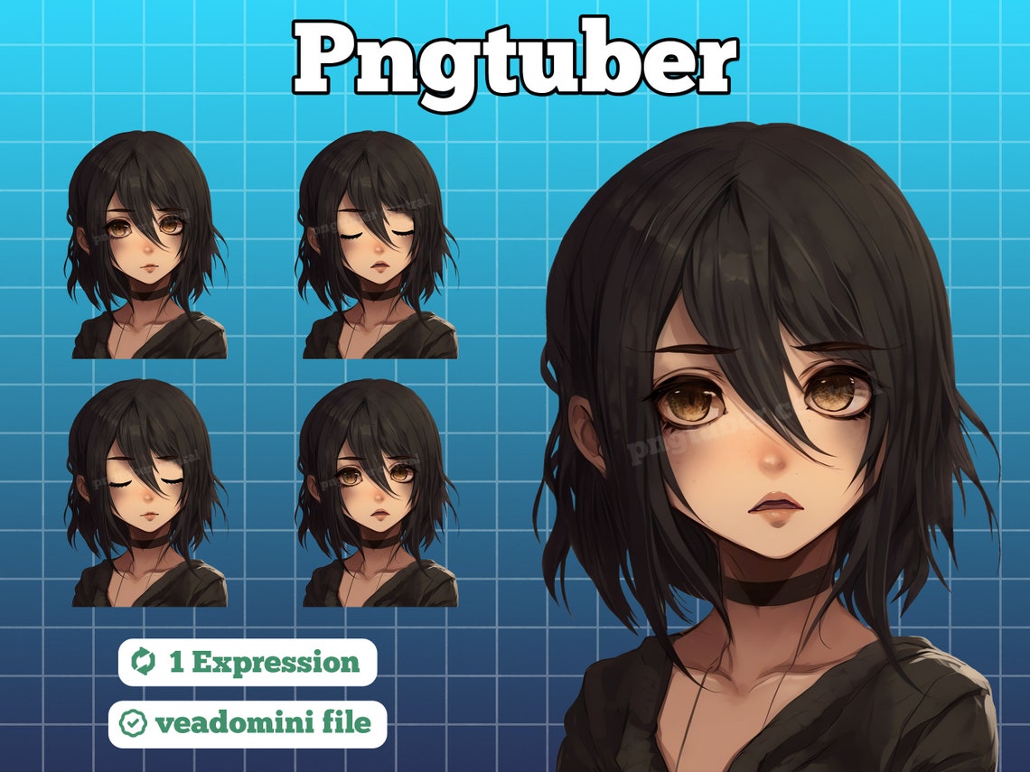 Pngtuber, Pngtuber Premade, Png Tuber, Pngtuber Overlay, Pngtuber ...