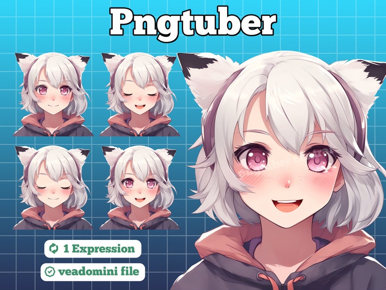 Pngtuber Pngtuber Premade Png Tuber Pngtuber Overlay - Etsy