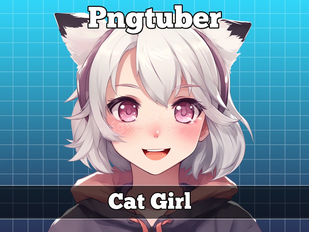 Pngtuber Pngtuber Premade Png Tuber Pngtuber Overlay - Etsy Canada