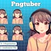 Pngtuber Pngtuber Premade Png Tuber Pngtuber Overlay - Etsy