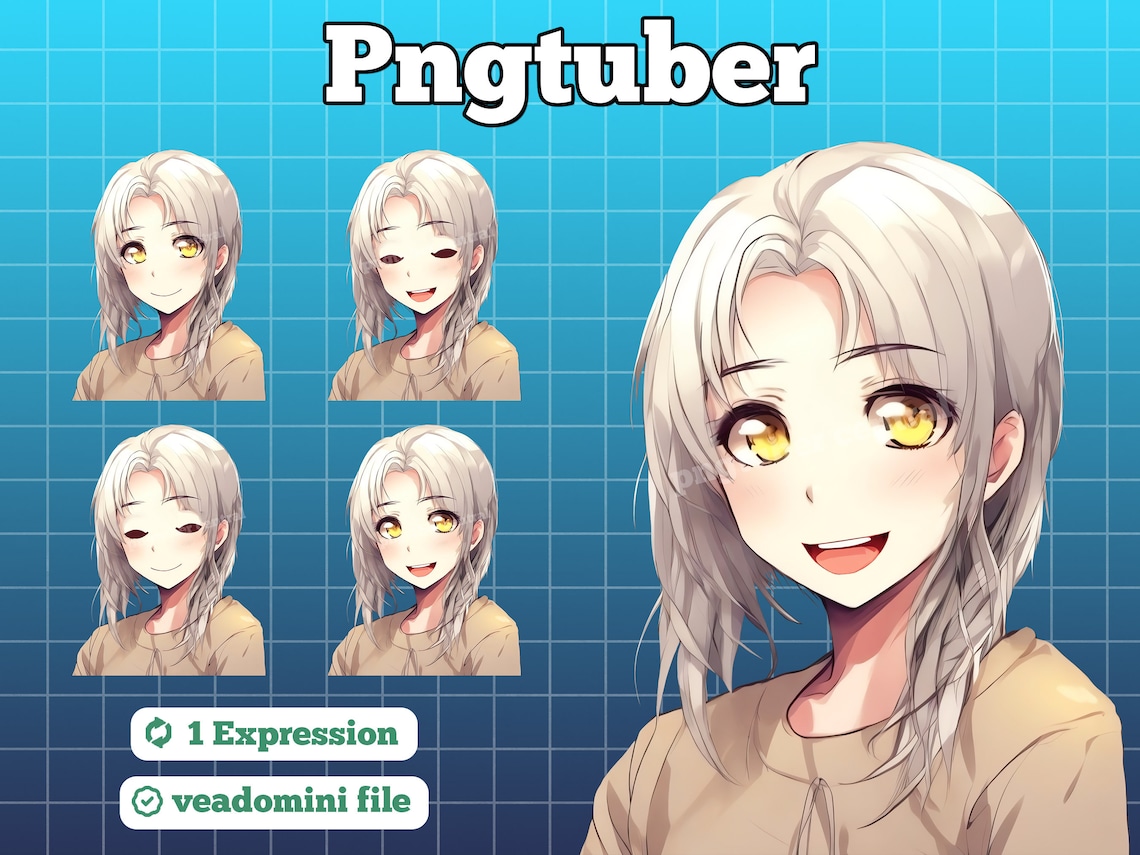 Pngtuber, Pngtuber Premade, Png Tuber, Pngtuber Overlay, Pngtuber ...