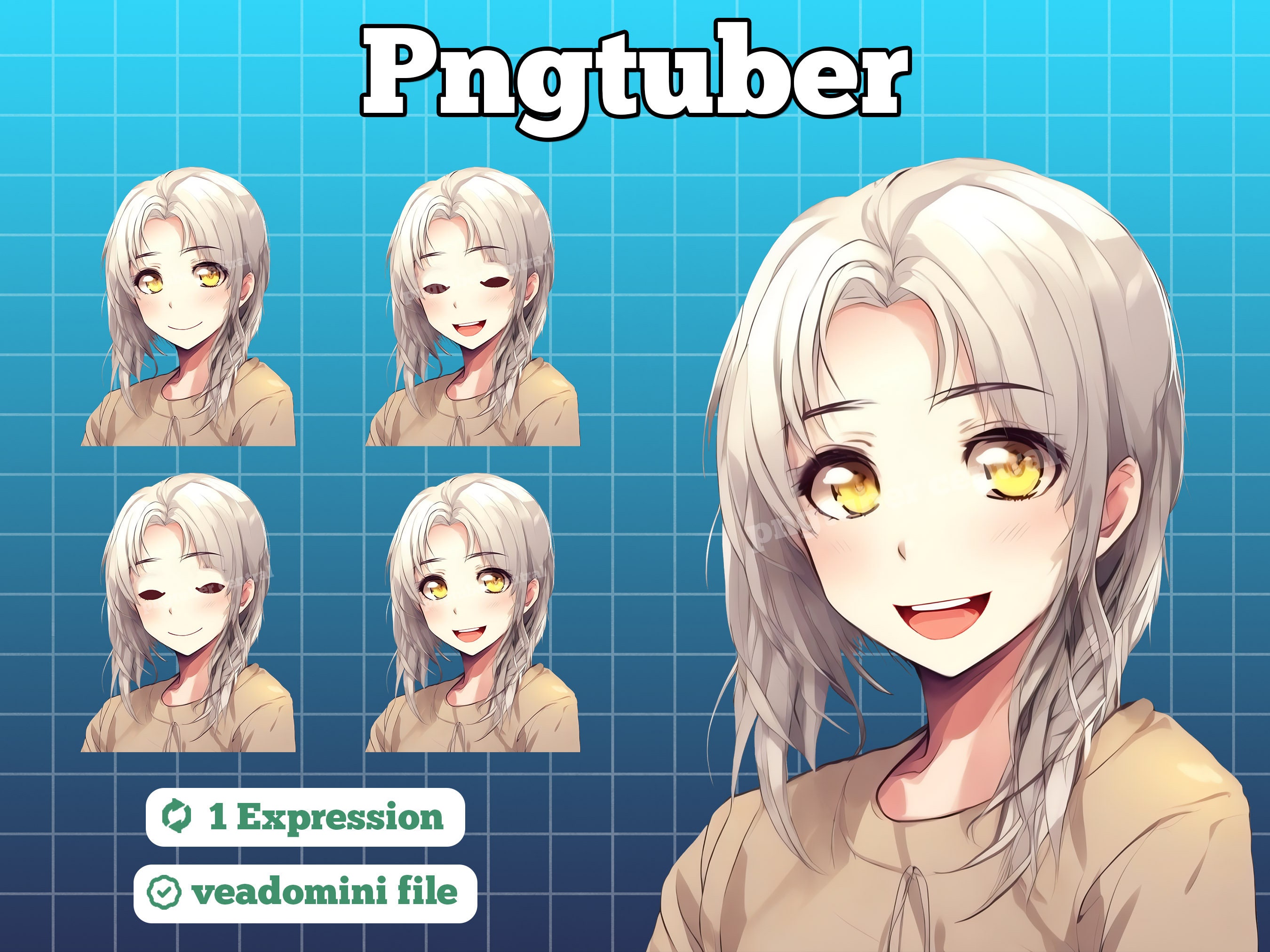 Pngtuber, Pngtuber Premade, Png Tuber, Pngtuber Overlay, Pngtuber ...