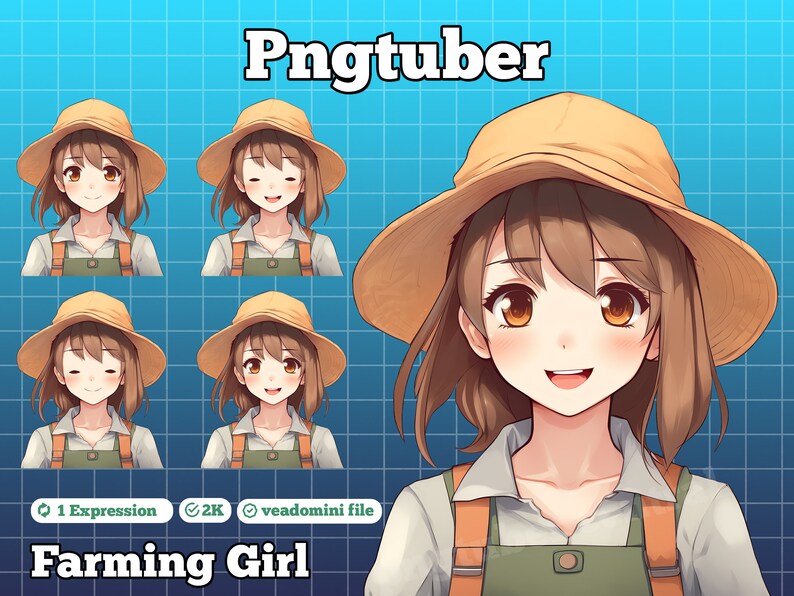 Pngtuber Pngtuber Premade Png Tuber Pngtuber Overlay - Etsy