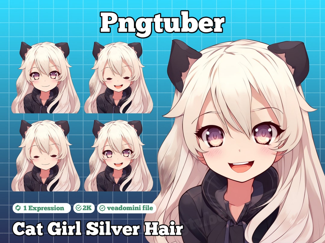 Pngtuber Pngtuber Premade Png Tuber Pngtuber Overlay - Etsy Canada