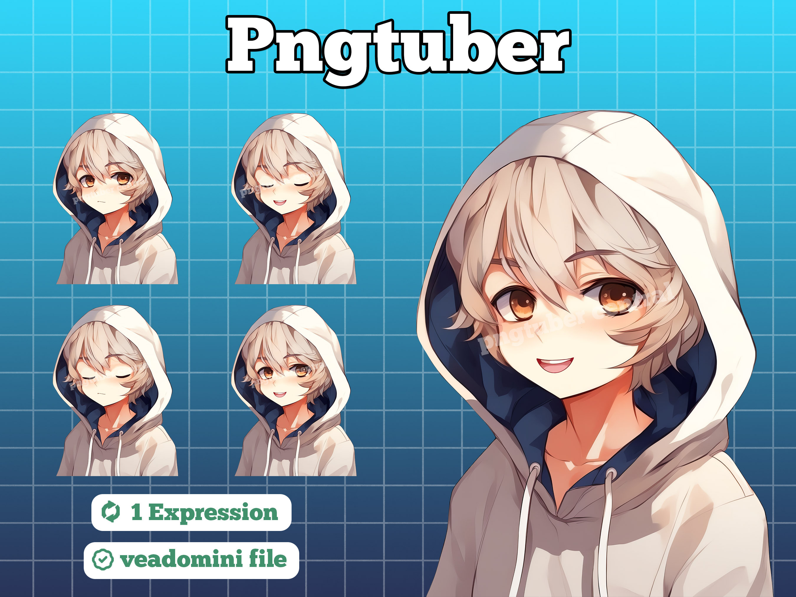 Pngtuber, Pngtuber Male, Pngtuber Premade, Pngtuber Overlay, Pngtuber ...
