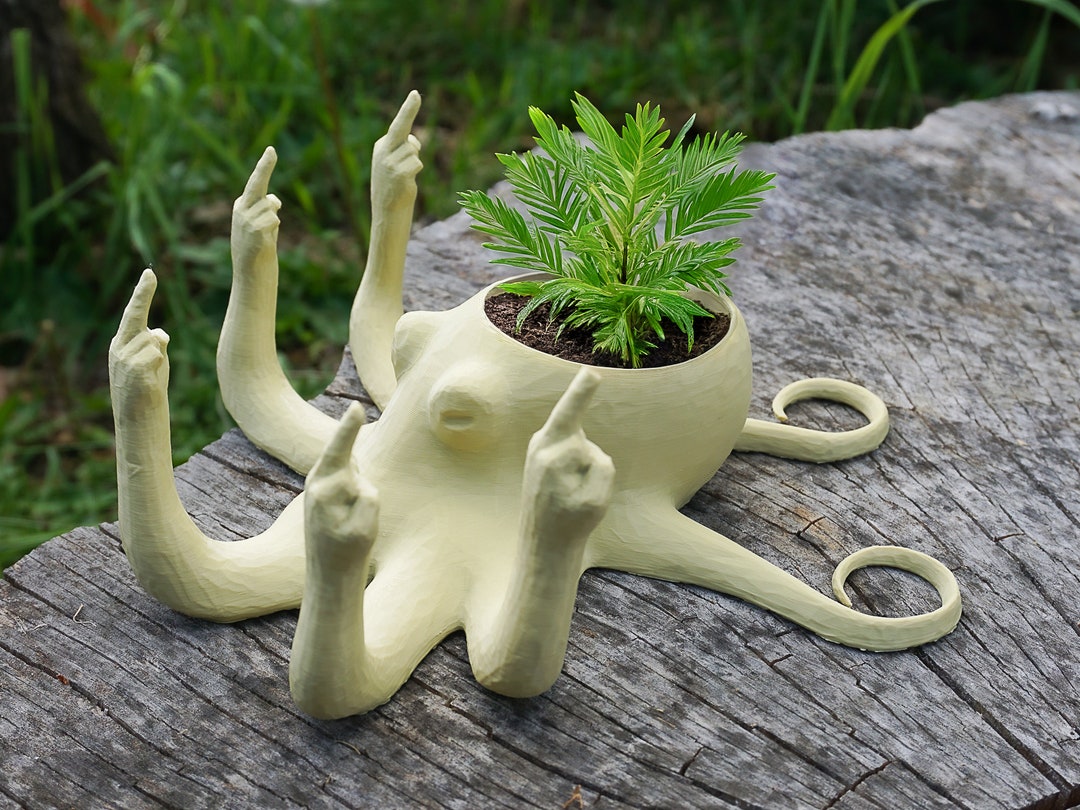 Fucktopus Planter / the Funny Rude Octopus Planter ! - Etsy