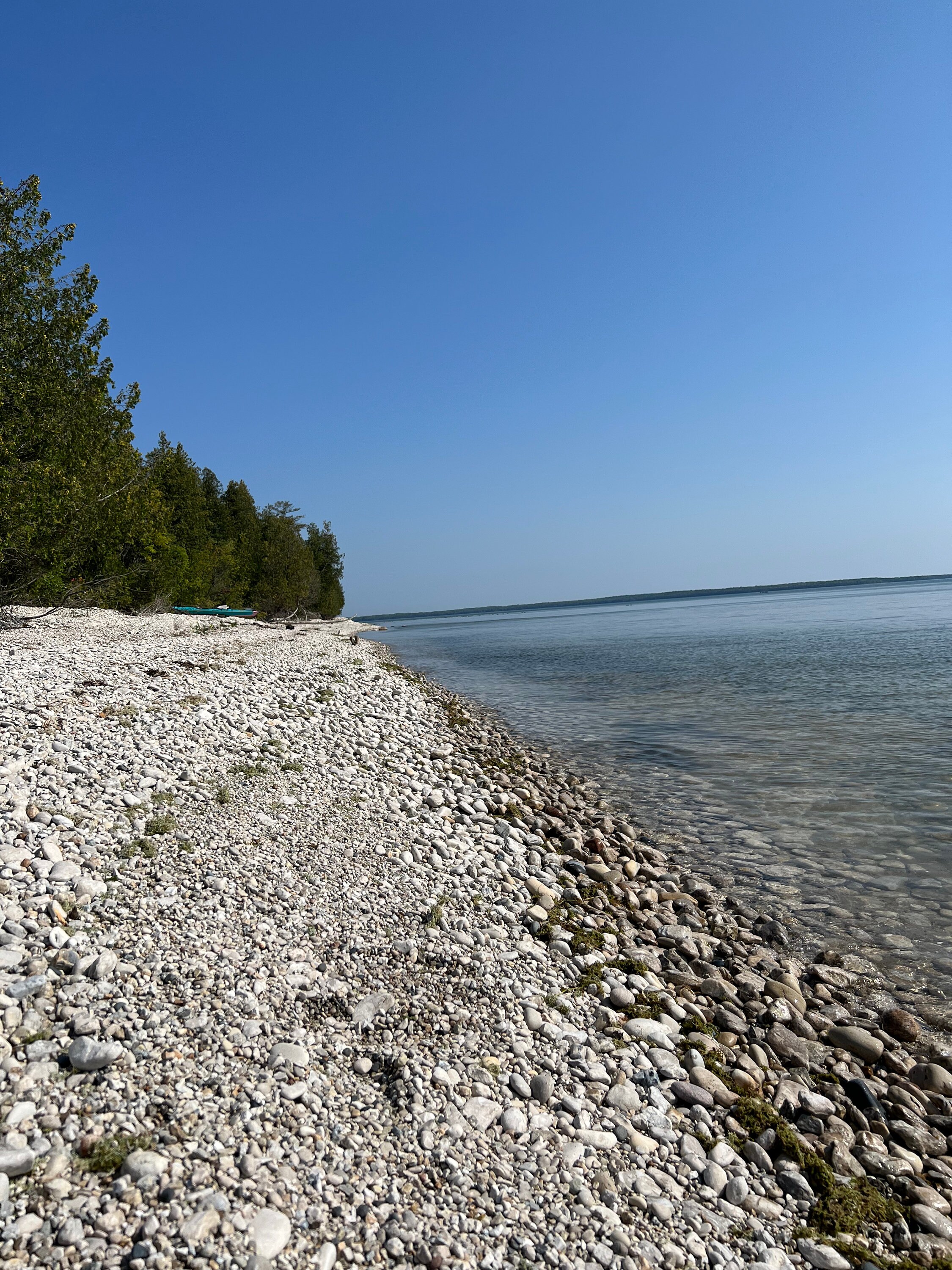 Pine Cone Mix, Lake Michigan Rocks, Door County WI, Pine Cone Birch Mix ...