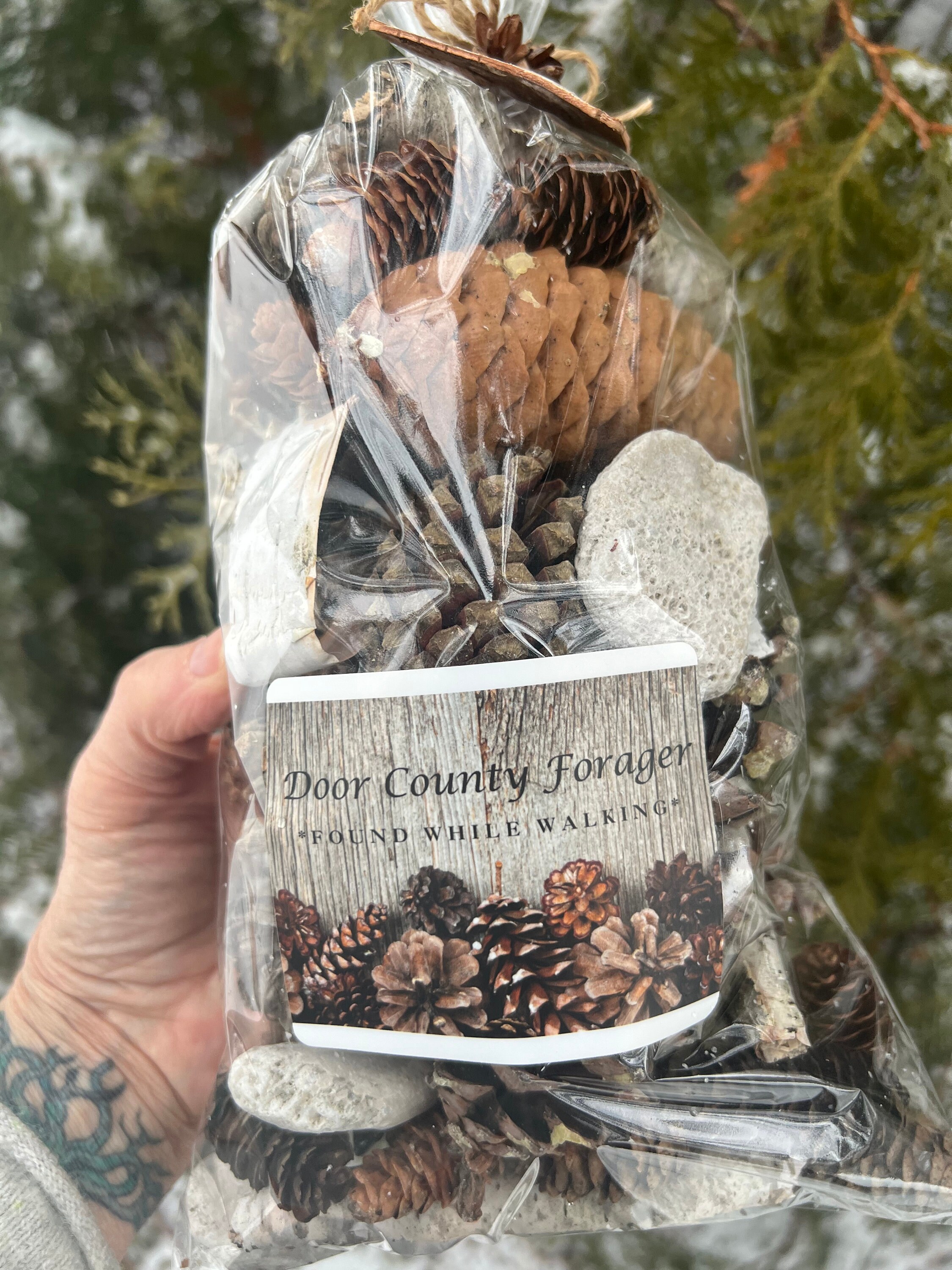 Pine Cone Mix, Lake Michigan Rocks, Door County WI, Pine Cone Birch Mix ...