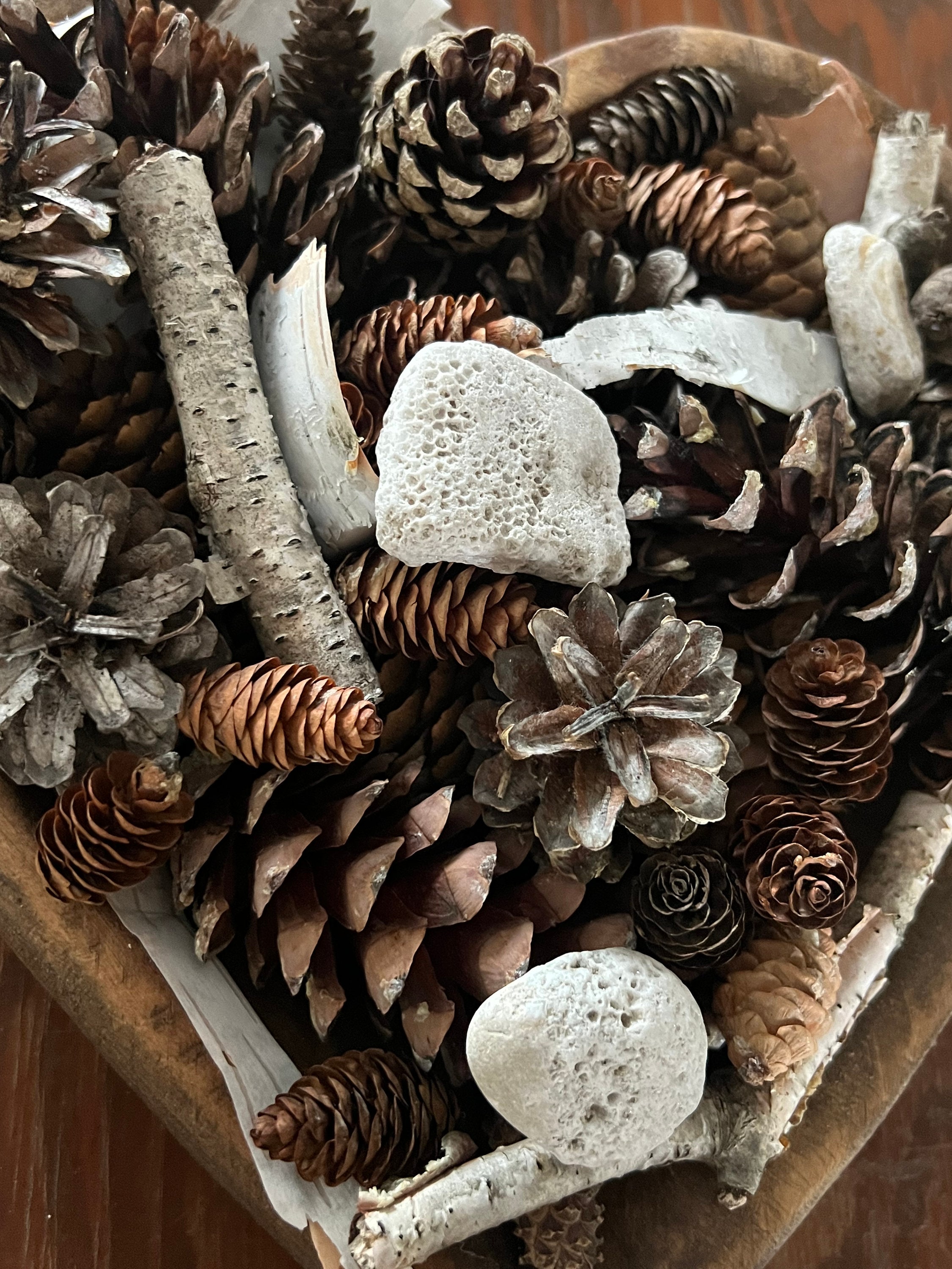 Pine Cone Mix, Lake Michigan Rocks, Door County WI, Pine Cone Birch Mix ...