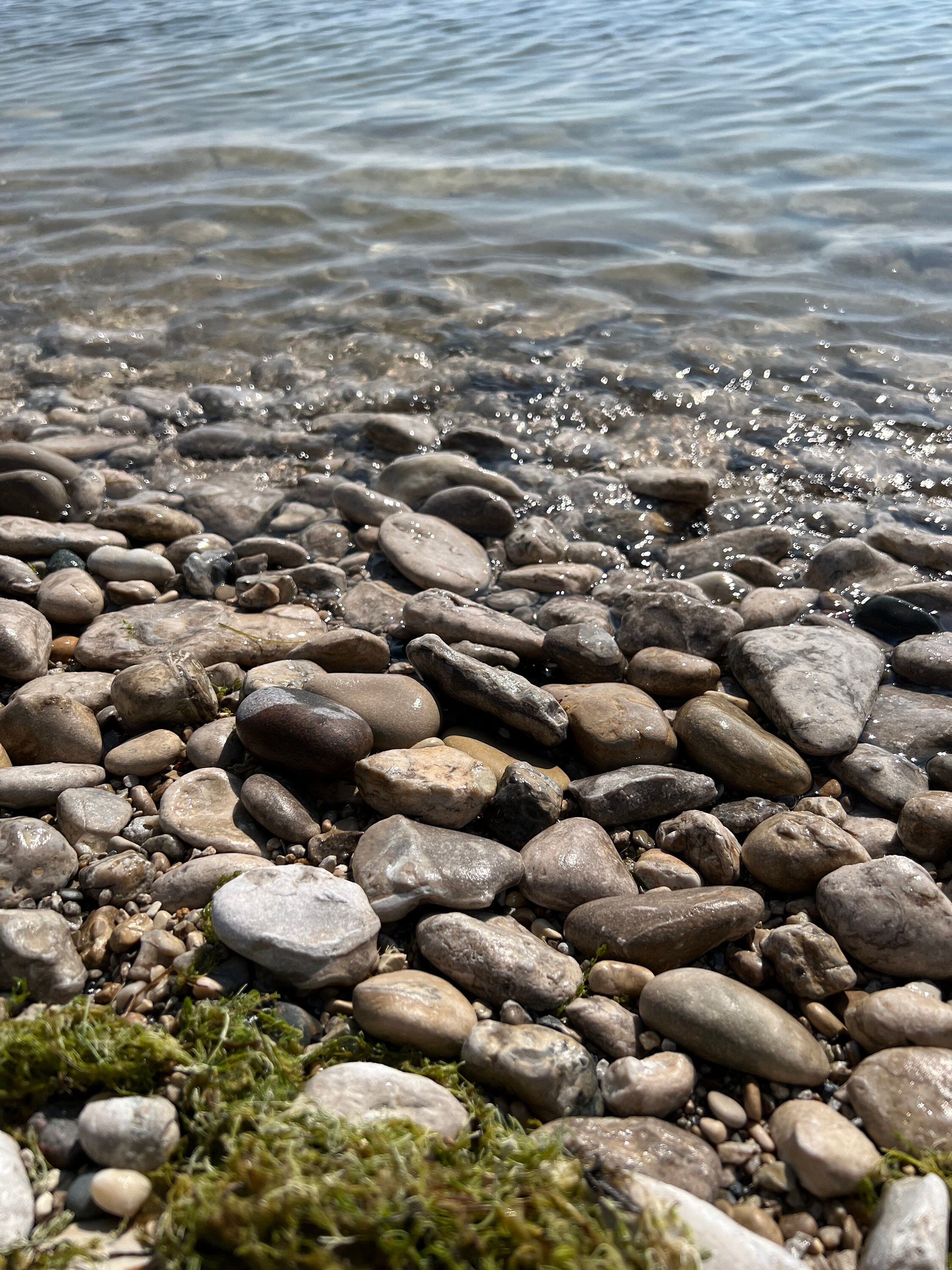Pine Cone Mix, Lake Michigan Rocks, Door County WI, Pine Cone Birch Mix ...