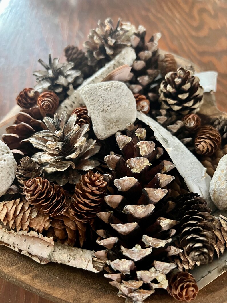 Pine Cone Mix, Lake Michigan Rocks, Door County WI, Pine Cone Birch Mix ...