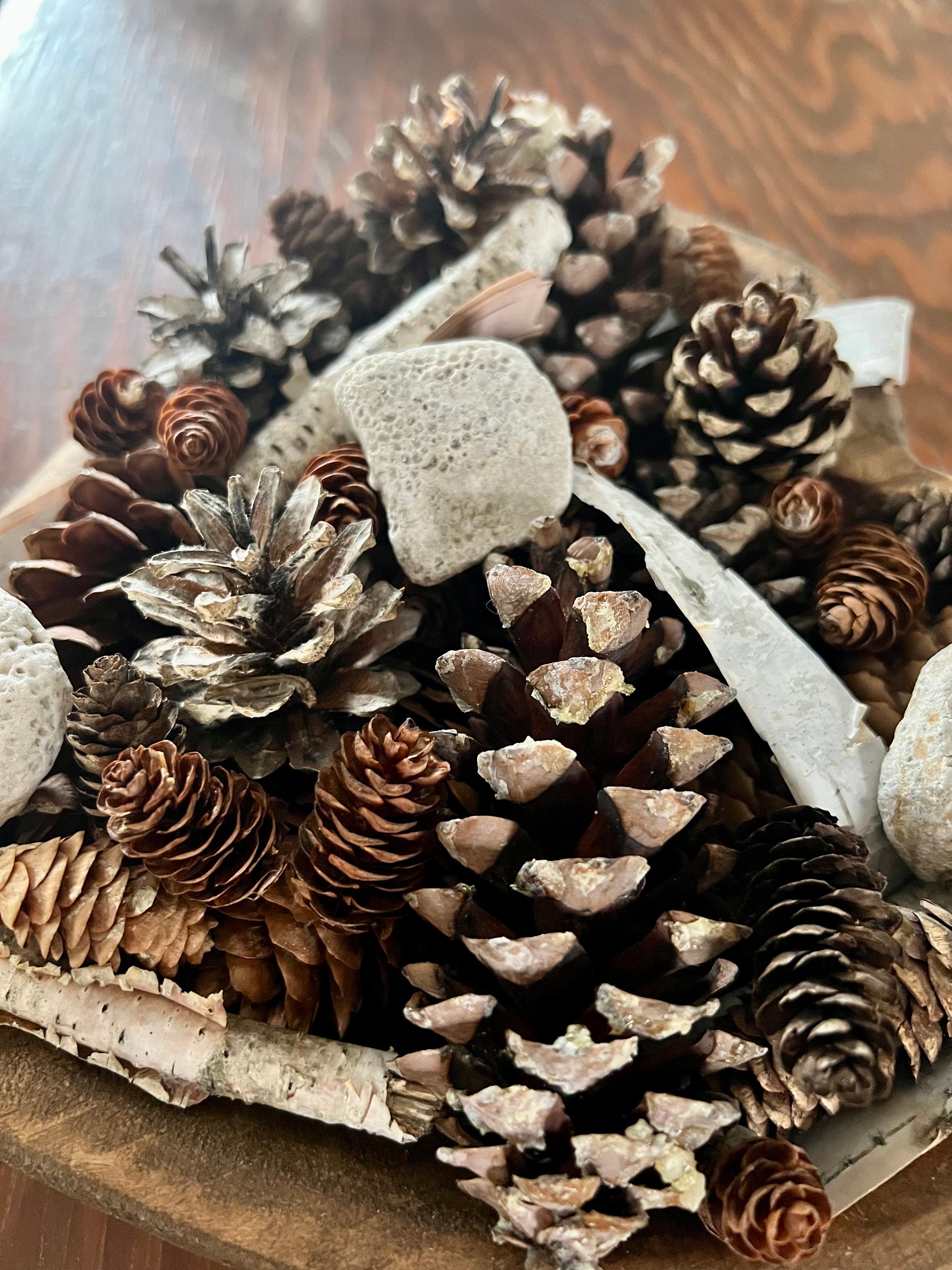 Pine Cone Mix, Lake Michigan Rocks, Door County WI, Pine Cone Birch Mix ...