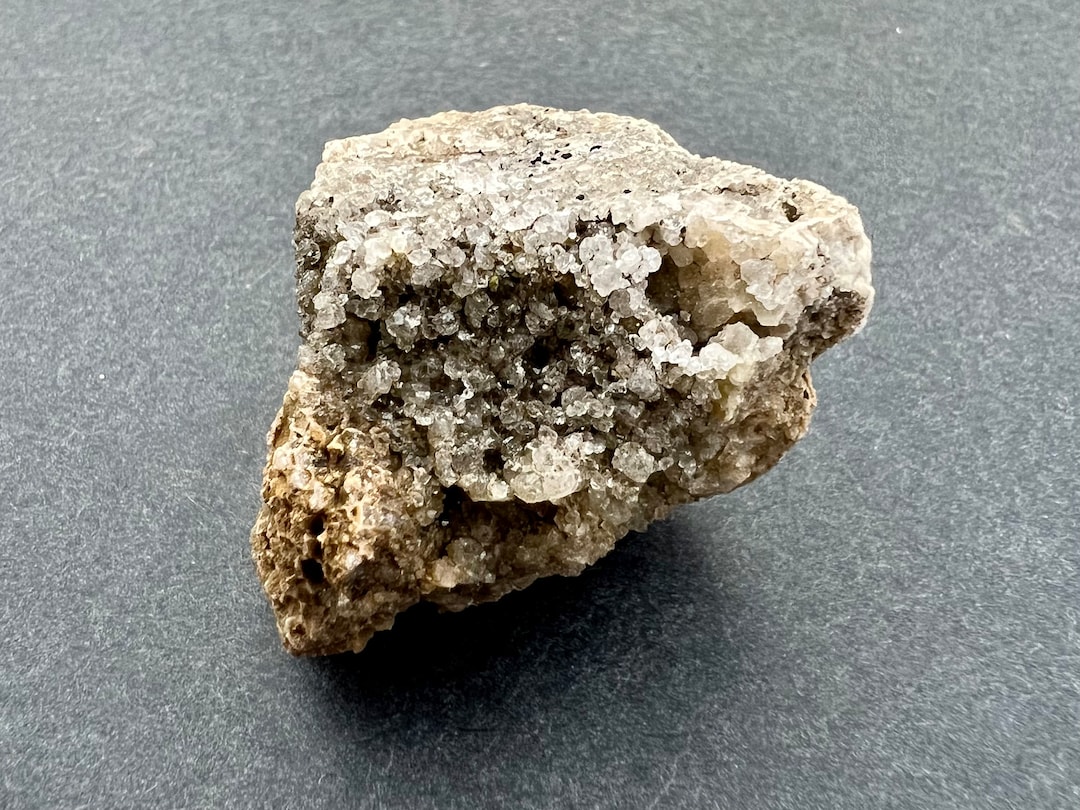 Coral Fossils, Favosite, Door County Fossils, Honeycomb Coral, Great ...