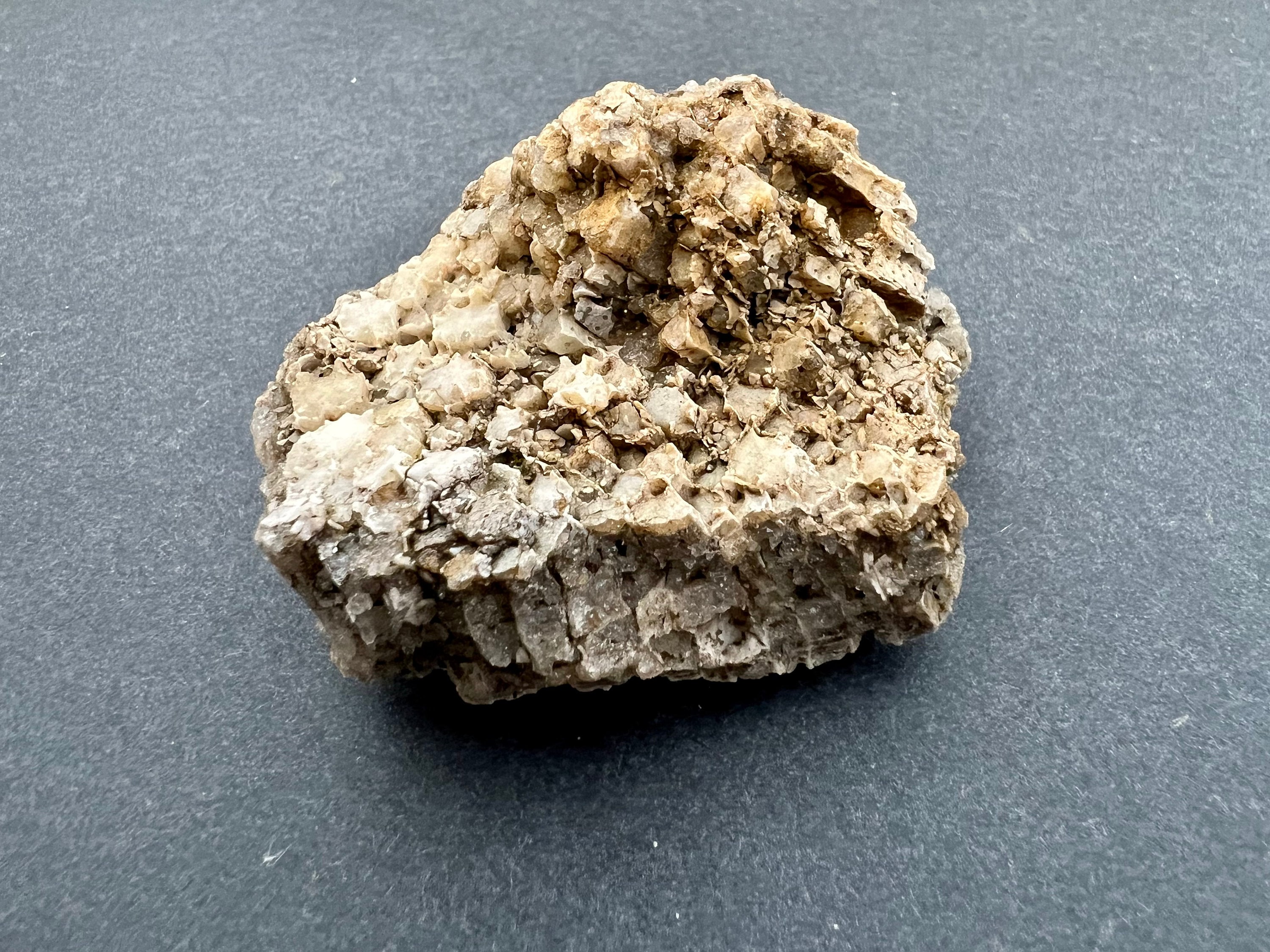 Coral Fossils, Favosite, Door County Fossils, Honeycomb Coral, Great ...