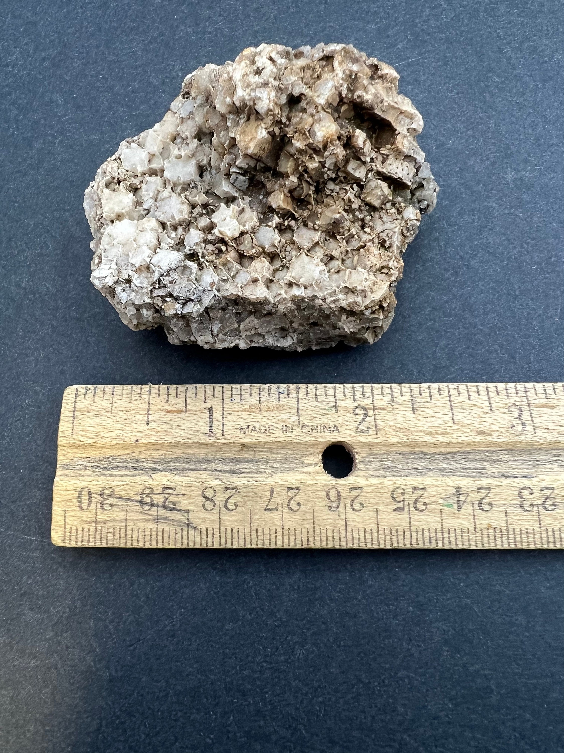 Coral Fossils, Favosite, Door County Fossils, Honeycomb Coral, Great ...