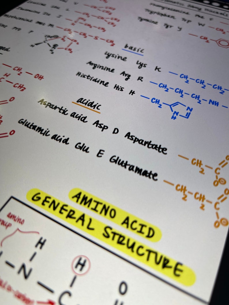 Biochemistry Amino Acids Reference Guide - Etsy