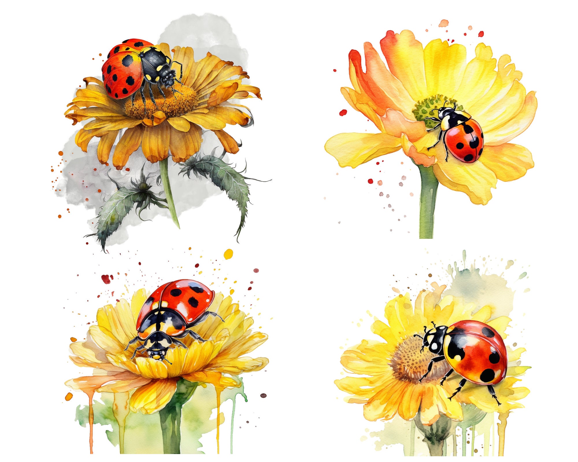 Ladybugs Watercolor Clipart Summer and Spring Season Clip Art PNG, High ...