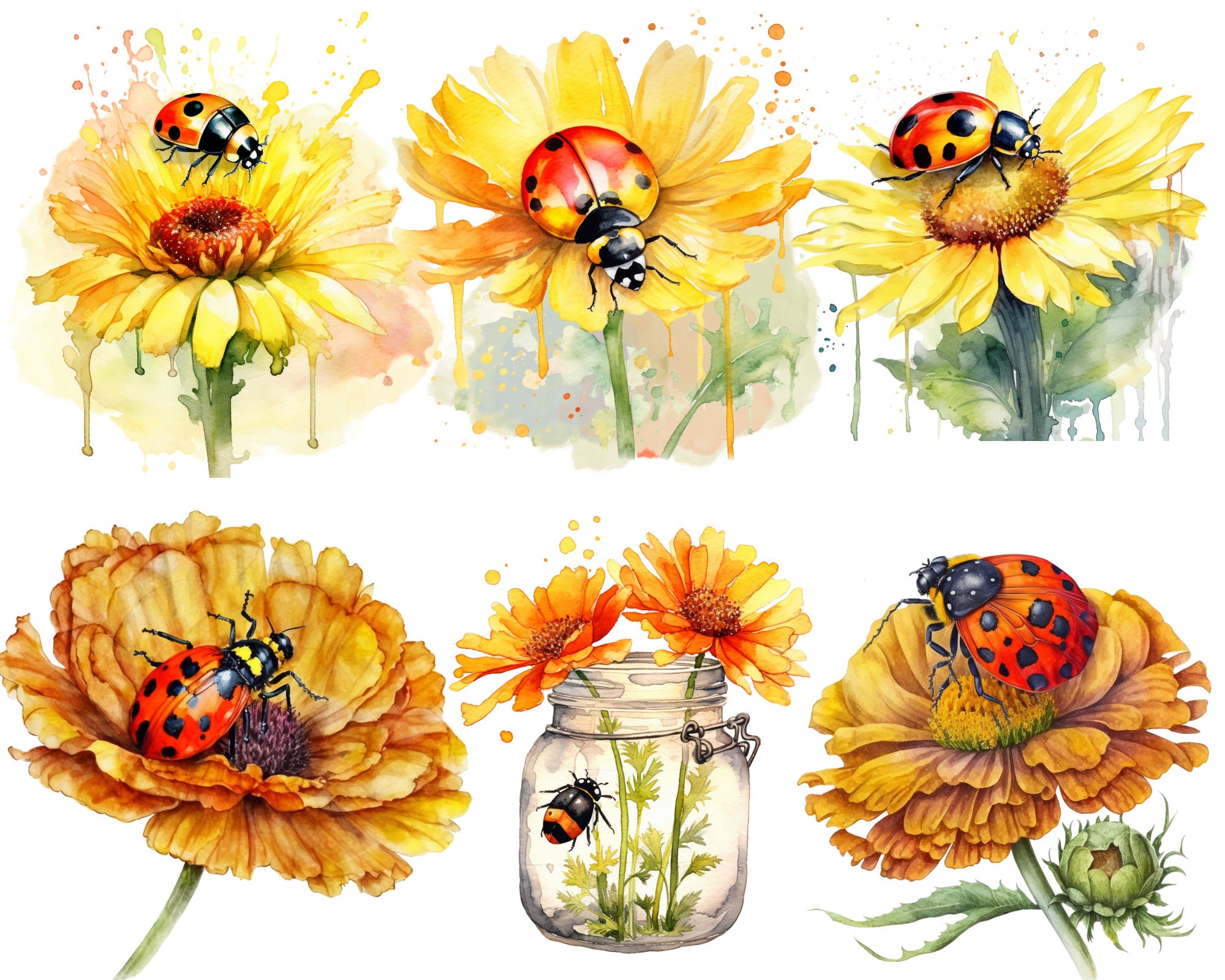 Ladybugs Watercolor Clipart Summer and Spring Season Clip Art PNG, High ...